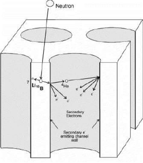 Detection Mechanism Of The MCP Based Detectors 19 Download Scientific Diagram