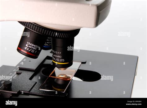 Objectives Microscope Hi Res Stock Photography And Images Alamy
