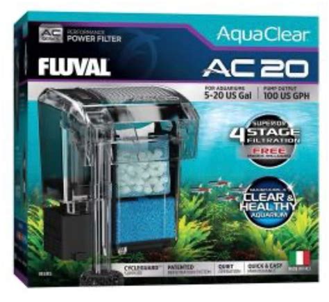 Peces Killis Cuidados Y Mantenimiento Del Pez Killi