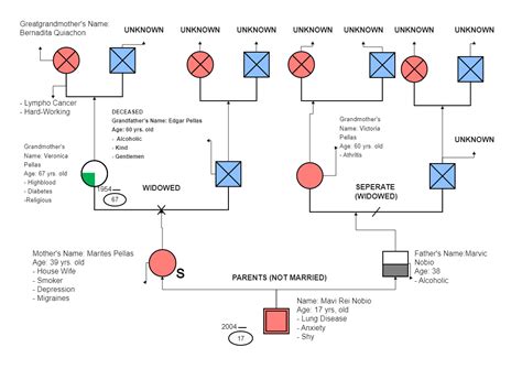 Mavi Rei Nobio Genogram Edrawmax Template