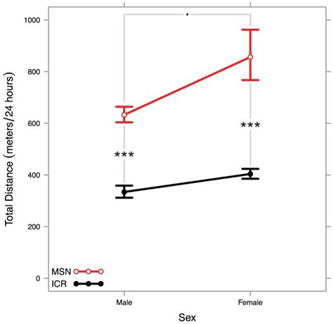 a two way anova found a highly significant strain effect a significant