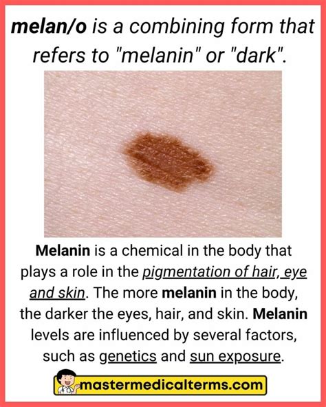 Melano Master Medical Terms