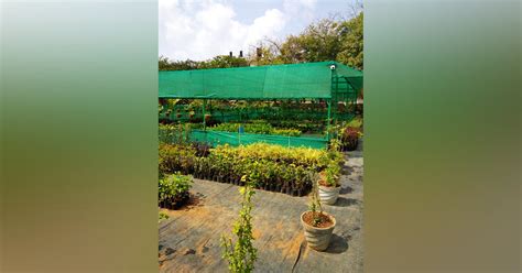 Shop At Vintage Nursery Valsaravakkam I Lbb Chennai