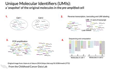 Chapter Single Cell RNA Seq Choosing Genomics Tools