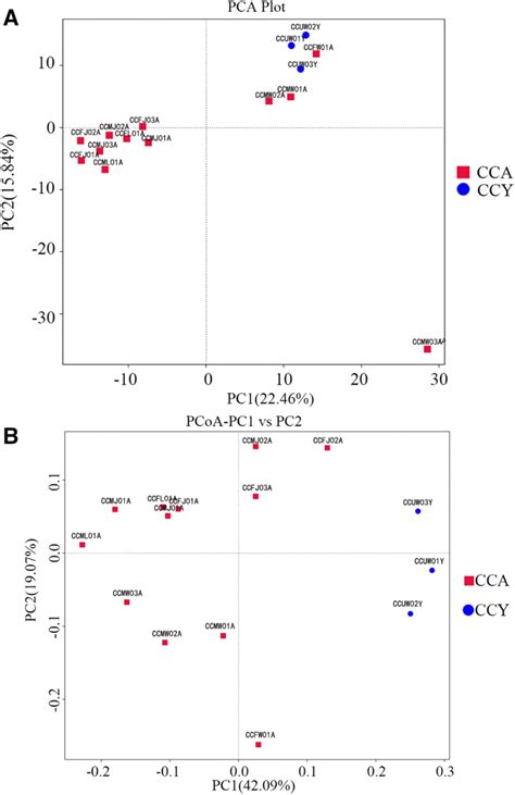 PCA Analysis A And PCoA Analysis Based On Weighted B UniFrac Download Scientific Diagram