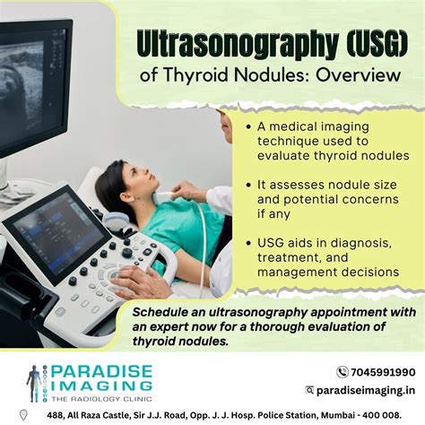 Paradise Imaging The Radiology Clinic Ultrasonography Usg For