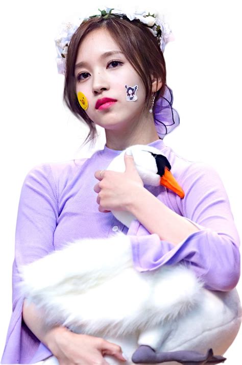 Download Kpop Star With Stuffed Swan