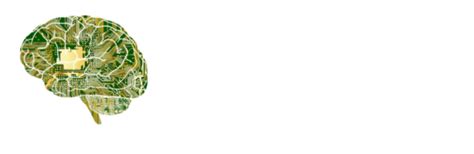 Qoro Quantum Shaping The Future Of Distributed Quantum Computing Future Of Computing