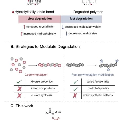 A Factors That Impact Hydrolytic Degradation B A Comparison Of