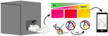 Additive Manufacturing Leveraged Microfluidic Setup For Sample To Answer Colorimetric Detection