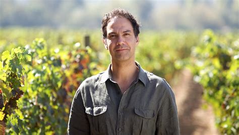 Why Regionality Is Key To Chiles Wine Evolution Sevenfifty Daily