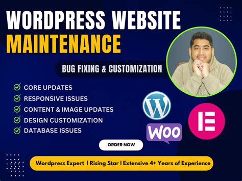 wordpress website maintenance fix bugs and customize website design