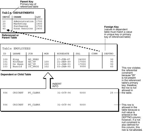 Maintaining Data Integrity In Database Applications