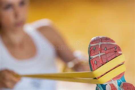 Woman Using An Elastic Band For Stretching Exercises After Her Training