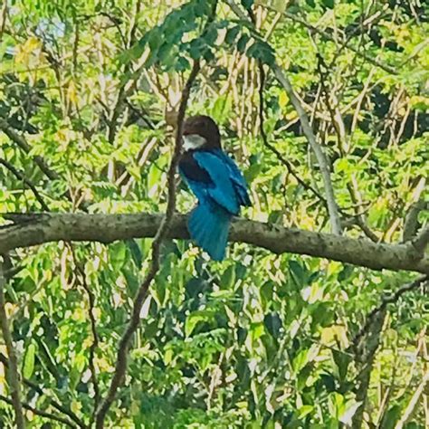 Atna H Atana Na On Threads