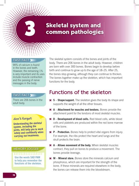 Skeletal System And Common Pathologies Pdf Vertebral Column Foot
