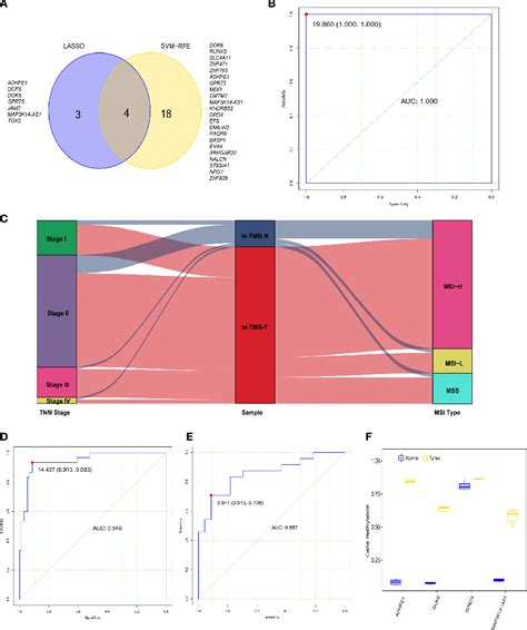 Figure 2 From Dna Methylation Based Patterns For Early Diagnostic