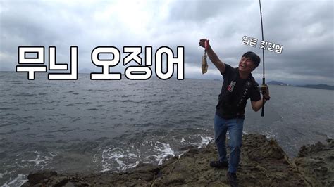 무늬 오징어 낚아서 먹어보자 거제도 낚시 Youtube