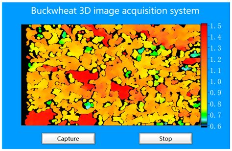 buckwheat plant height estimation based on stereo vision and a regression convolutional neural