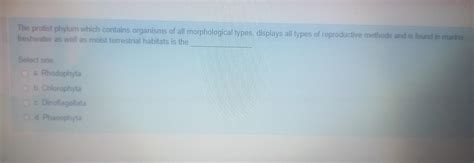 Solved The Phylum Contains Protists Which Cause Mildews On