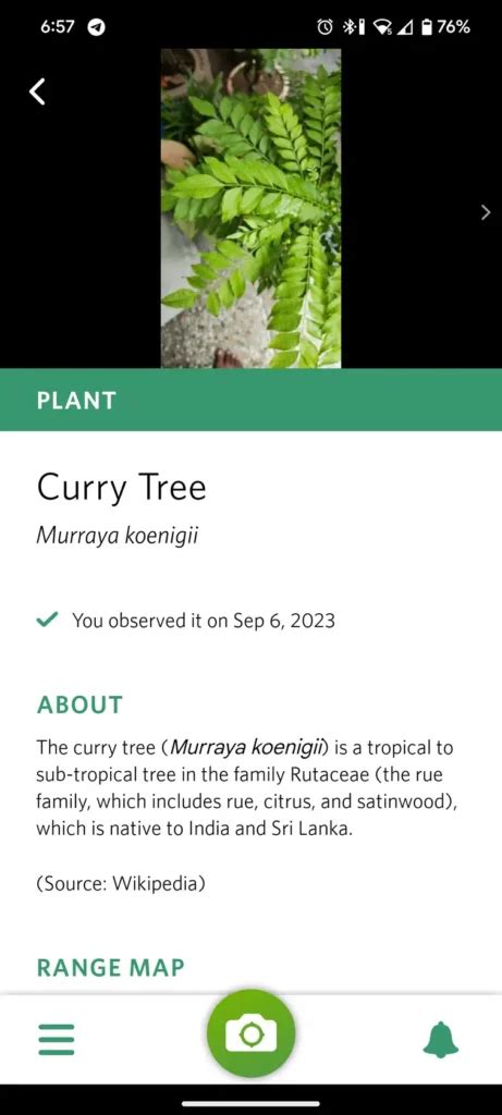 Best Plant Identification Apps For Android To Manage Plants 2024
