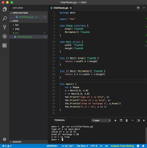 Golang中的interface接口，全面解析 Infoq 写作平台