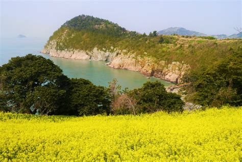 여수 꽃섬을 아시나요 전남도 이달의 추천관광지는 노컷뉴스