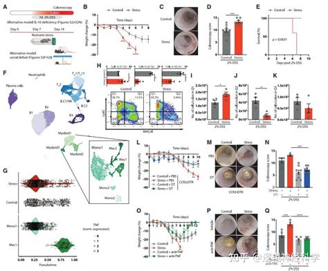 Cell︱宾夕法尼亚大学团队发现心理压力通过肠神经系统介导加重肠道炎症 知乎