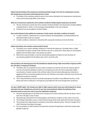 Jb Ise Intro Before Lecture Notes Jeremy Balka Supporting Videos For This Chapter