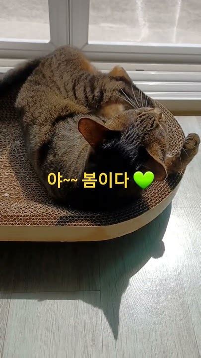 봄햇살가득 ~🌼🍃 Youtube