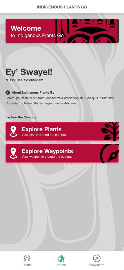 github bcit ssd 2020 21 indigenous plant go app bcit