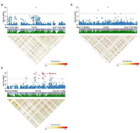 Local Manhattan Plot Top Panel And Ld Heatmap Bottom Panel Of The