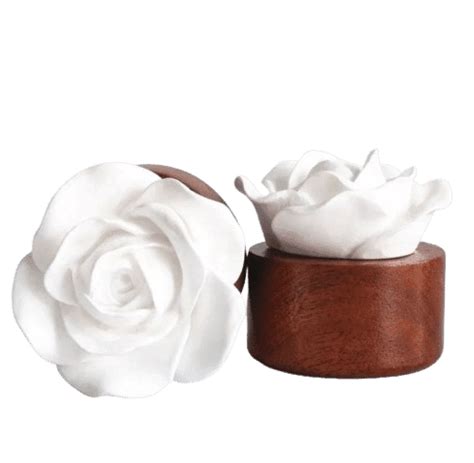 Flower Diffuser Power Aromapurecc