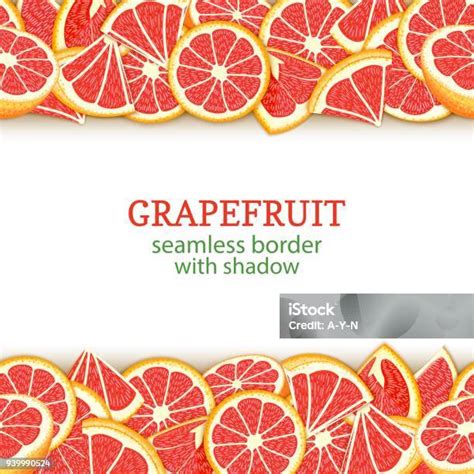 잘 익은 자 몽 과일 가로 완벽 한 국경입니다 그림 카드 전체 벡터 및 좁은 차 화장품 식품 포장 주스 아침 식사의 디자인에 대 한 빨간 포 멜로와 끝 없는 스트립 해독을