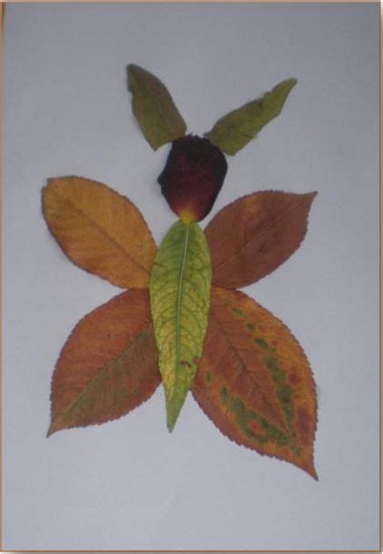 От изсушени листа Пъстроцветна пеперуда Plant Leaves Plants Leaves