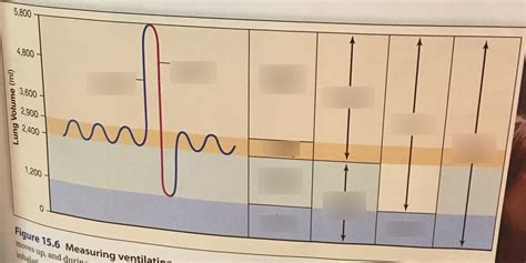 152 Spirometry Graph Diagram Quizlet