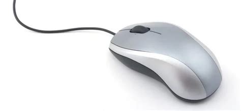 Is Mouse An Input Or Output Device Explained Xtremegaminerd