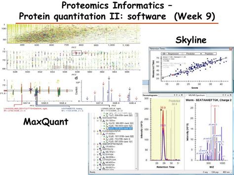 Ppt Proteomics Informatics Bmsc Ga 4437 Powerpoint Presentation Free Download Id 2406802