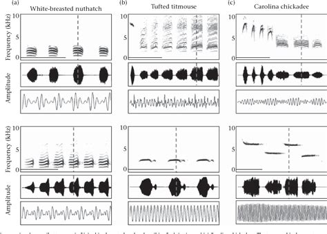 Figure 1 From Seasonal Plasticity In Auditory Processing Of The Envelope And Temporal Fine