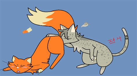 Rule 34 Ambiguous Gender Animal Genitalia Animal Penis Ashfur
