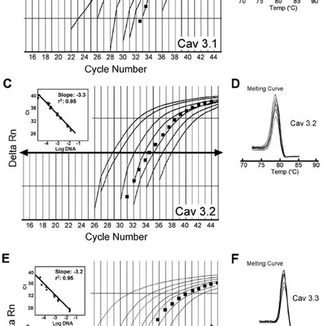 Quantitative Real Time Pcr Qpcr Assays For Cav31 α 1 G Cav32