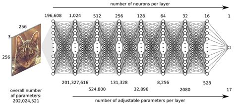 4 structure and parameter distribution of an 8 layer fully connected