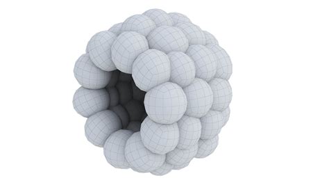 Raspberry 3d Model By Xandra Fox