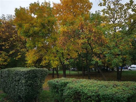 The 10 Best Parks In Sofia