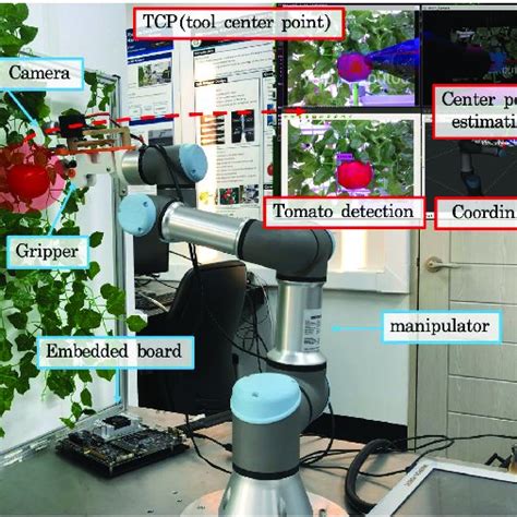 Pdf Towards An Efficient Tomato Harvesting Robot 3d Perception Manipulation And End Effector