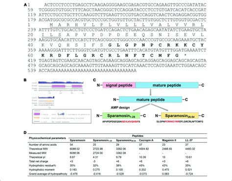 Sequence Analysis And Peptide Design Process A Full Length Cdna