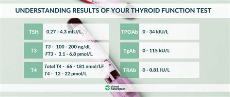 The Best Way To Test Hormones Planet Naturopath