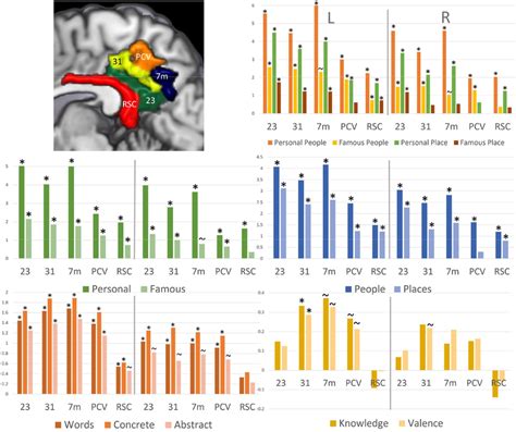 Responses To Proper And Common Names In Subdivisions Of The Posterior Download Scientific