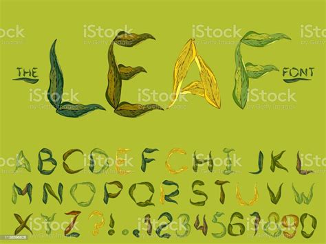 현대 추상 글꼴 및 알파벳 벡터의 집합입니다 타이포 그 라피 잎 스타일 녹색 글꼴 로고 포스터 초대장 또는 의류 디자인에 대 한 설정 합니다 녹색에 대한 스톡 벡터 아트 및