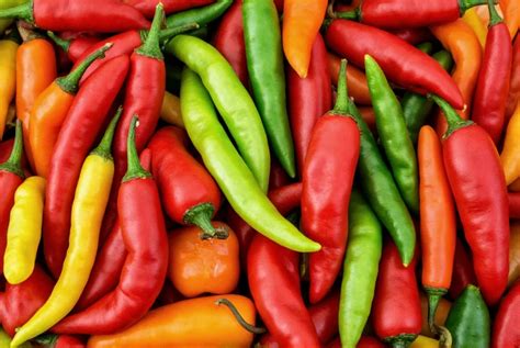Hot Chilli Types Heat Scale Guide And Cooking Uses